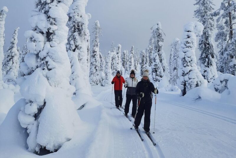 Kittilä: Lapland Levi Cross-country Skiing for Beginners - An In-Depth Look at the Lapland Levi Cross-country Skiing Tour