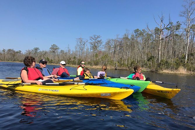 Kitty Hawk Maritime Forest Kayak Tour - Why Choose This Tour?