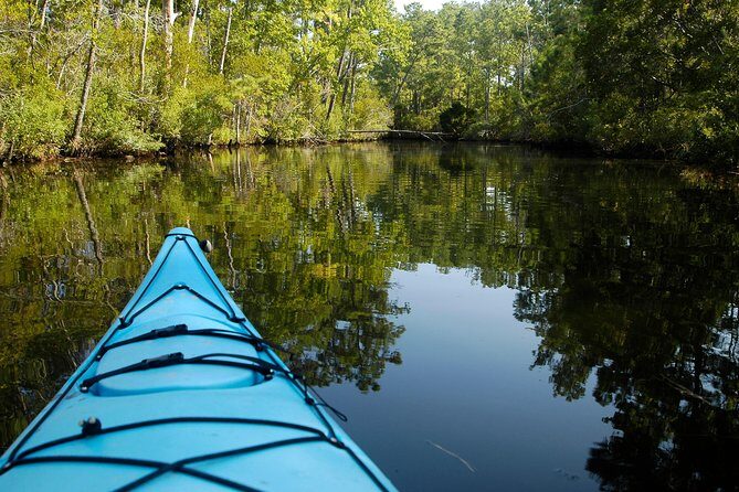 Kitty Hawk Maritime Forest Kayak Tour - What Sets This Tour Apart?