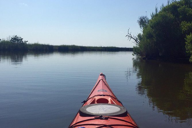 Kitty Hawk Maritime Forest Kayak Tour - Potential Drawbacks