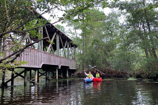 Kitty Hawk Maritime Forrest and Marsh Tour - The Sum Up