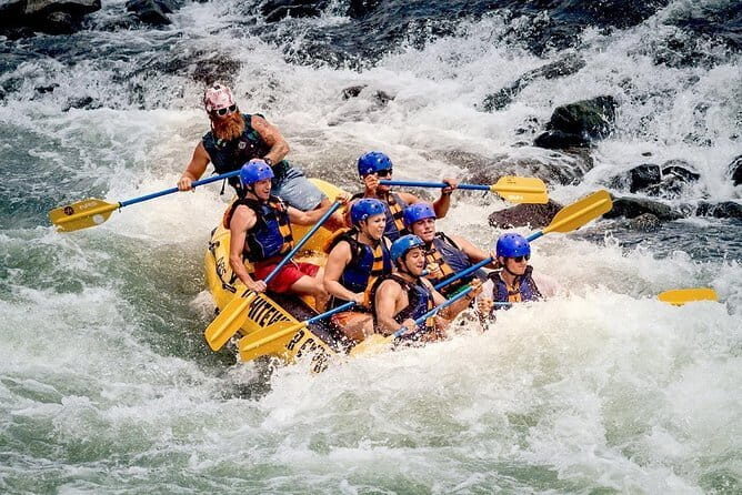 Kitulgala White Water Rafting From Nuwara Eliya - Key Points
