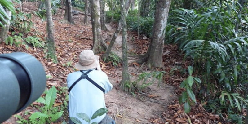 Kitulgala's Total Immersion: Full-Day Adventure Escape - Practical Highlights and Tips