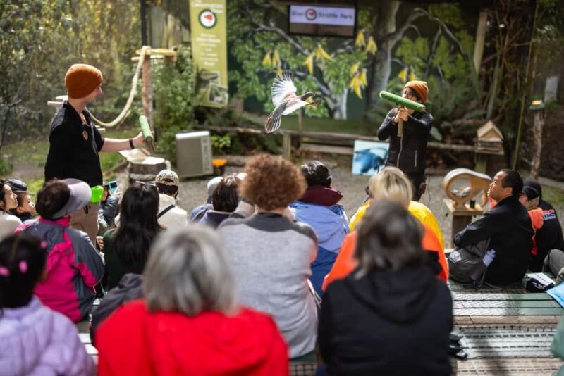 Kiwi Park Admission Ticket - FAQ