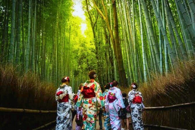 Kiyomizu dera Fushimi Inari and Nara Park Day Tour - The Sum Up