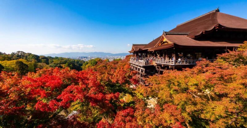 Kiyomizu Temple and Backstreet of Gion Half Day Group Tour - Who Should Consider This Tour?