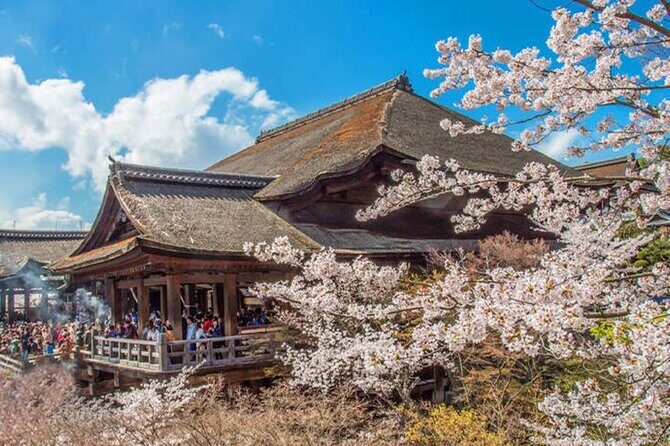 Kiyomizu Temple, Fushimi Inari Taisha: Kyoto & Nara Park Day Tour - FAQ