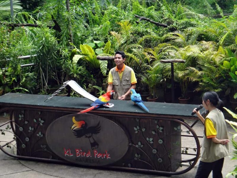 KL Green Escape: 4-Hour Gardens, Bird & Butterfly Tour - Exploring Kuala Lumpur’s Green Wonders