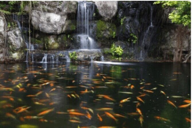 KL in a Day: 10-Hour Adventure Through the Heart of the City - FAQ: Your Practical Questions Answered