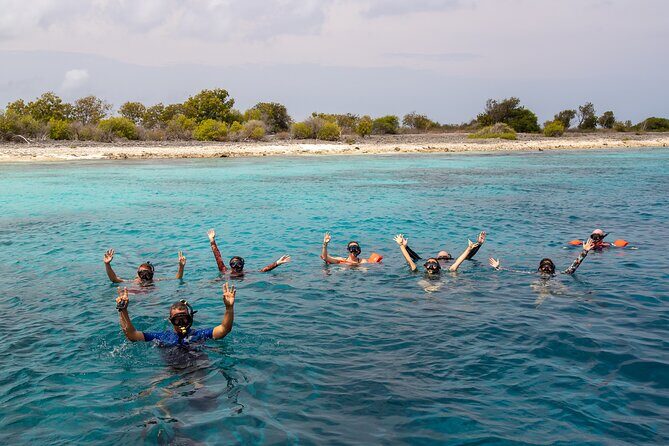 Klein Bonaire Marine Park Snorkeling Excursion - Key Points