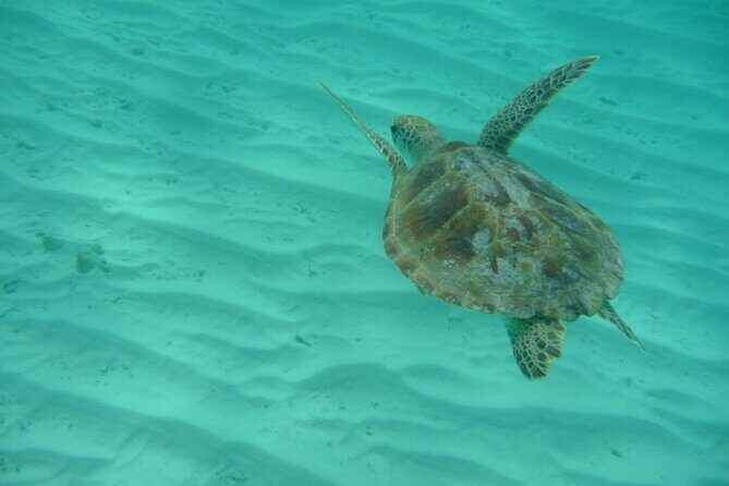 Klein Curacao Daytrip - All Inclusive Full Day Boat Tour - FAQ