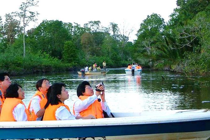 Klias River Fireflies & Wildlife Safari Cruise from Kota Kinabalu - Exploring the Klias River Fireflies & Wildlife Safari from Kota Kinabalu