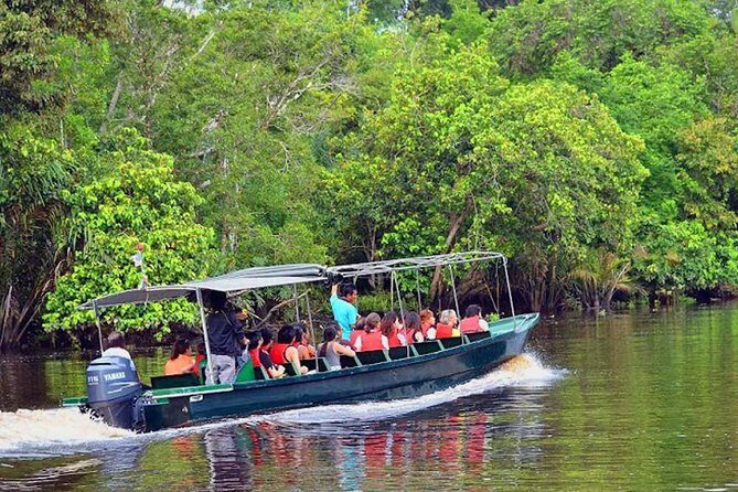 Klias River Fireflies & Wildlife Safari Cruise from Kota Kinabalu - An In-Depth Look at the Klias River Fireflies & Wildlife Safari