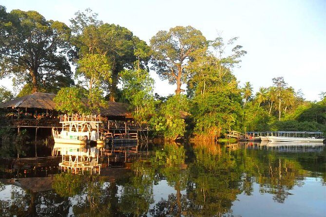 Klias River Fireflies & Wildlife Safari Cruise from Kota Kinabalu - Final Thoughts