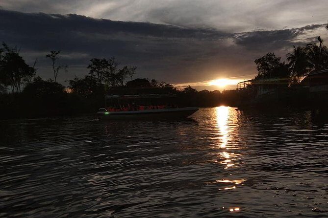 Klias Wildlife Safari River Cruise from Kota Kinabalu - A Detailed Look at the Klias Safari