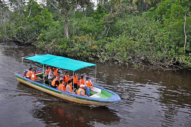 Klias Wildlife Safari River Cruise - Proboscis Monkey & Fireflies - Authentic Encounters and Real Traveler Insights