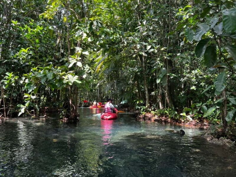 Klong Rud Kayaking with Hotel Transfer - Key Points