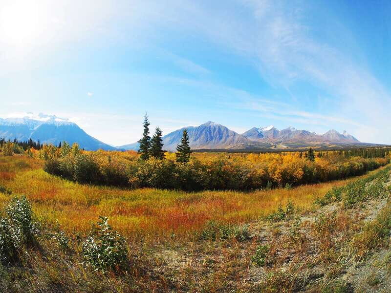 Kluane National Park: Full Day Tour - The Value of the Tour