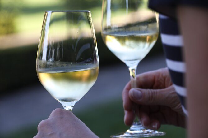 Knossos, Olive Grove, Winery - Distillery with Tastings & Lunch - Who This Tour Is Best For