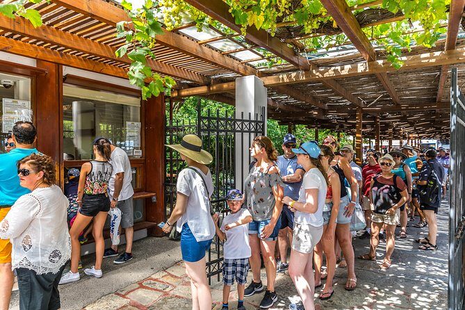 KNOSSOS PALACE private tour ( with Transfer from Heraklion Prefecture ) - The Review Highlights