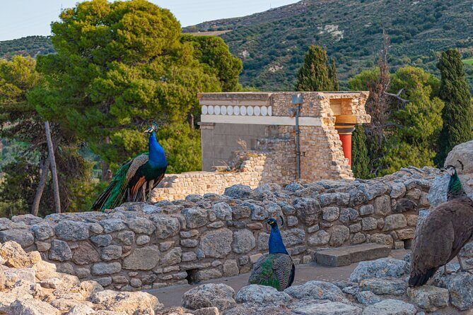 Knossos Palace Private Walking Tour - Who Will Love This Tour?