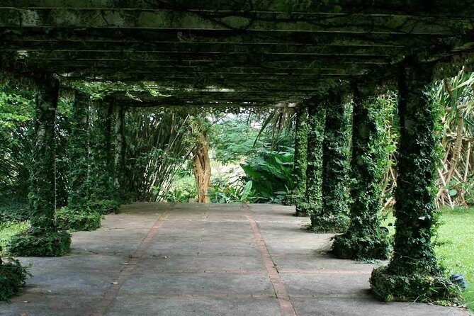 Know the Place: Montego Bay Historical Highlight and Bellefield Great House - Practical Details and Value