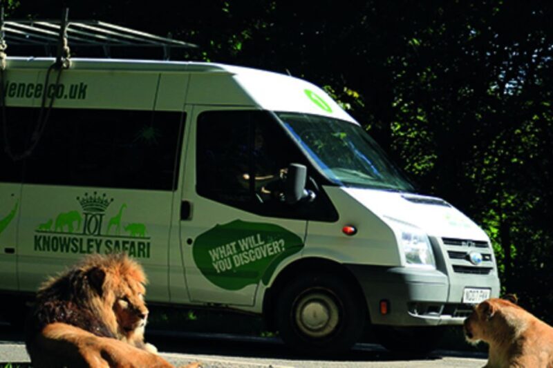 Knowsley: Safari Entry Tickets - Practical Tips for Visiting
