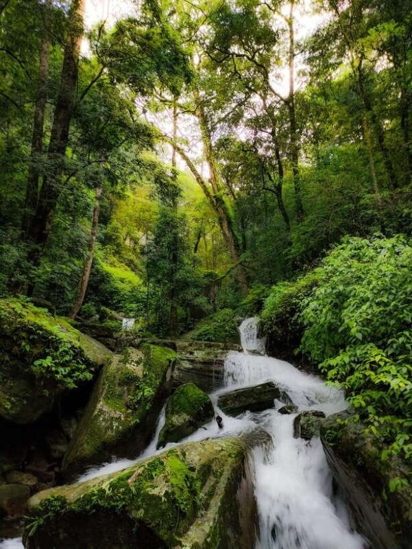 Knuckles Mountain Range: Hidden Waterfall Chain Hike - Practical Tips for Future Travelers