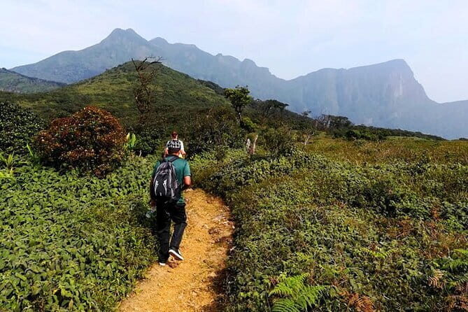 Knuckles Mountain Range Hiking and Trekking Day Tour From Kandy Hotels - An In-Depth Look at the Experience
