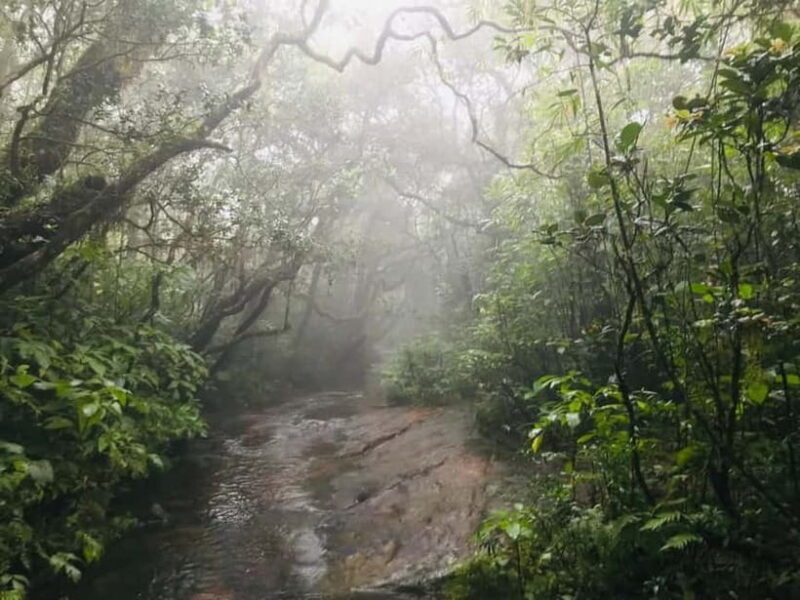 Knuckles Mountain Range: Kotaganga Waterfall Chain Hike - Is This Tour Worth the Price?