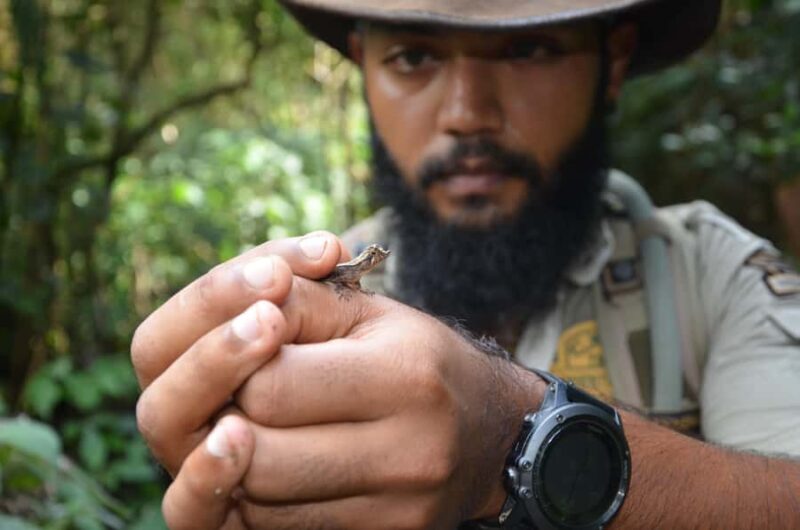 Knuckles: Wildlife Tours with FGASA Field Guides - What Past Travelers Say