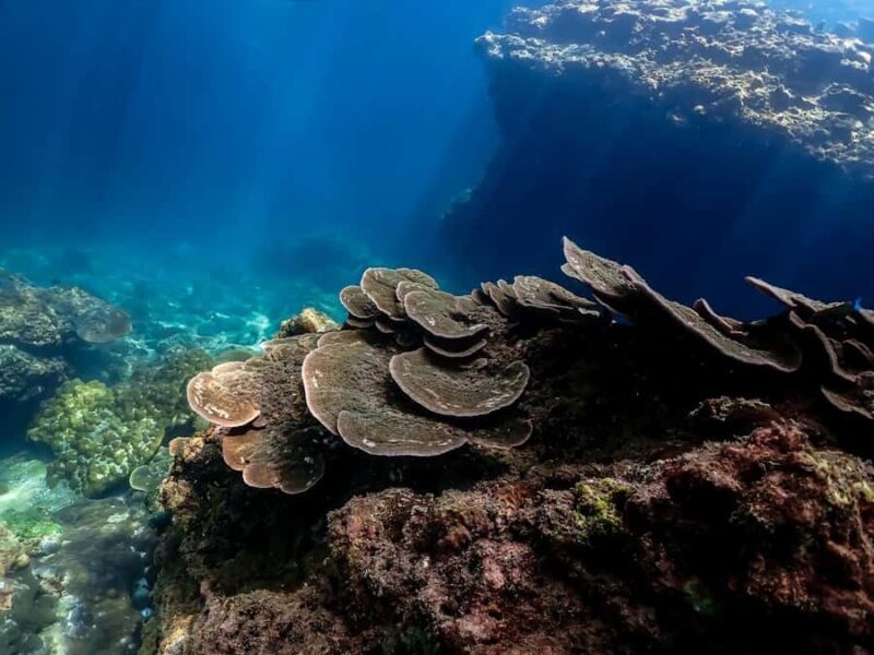 Ko Lanta: 4 Island Classic Longtail Boat Tour with Lunch - The Sum Up: Who Is This Tour For?