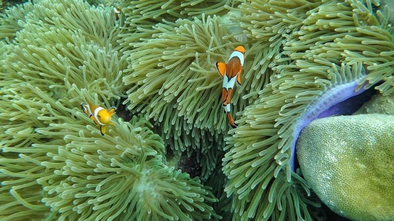Ko Lanta: 4 Islands and Emerald Cave Day Tour by Speedboat - Transportation, timing, and group size