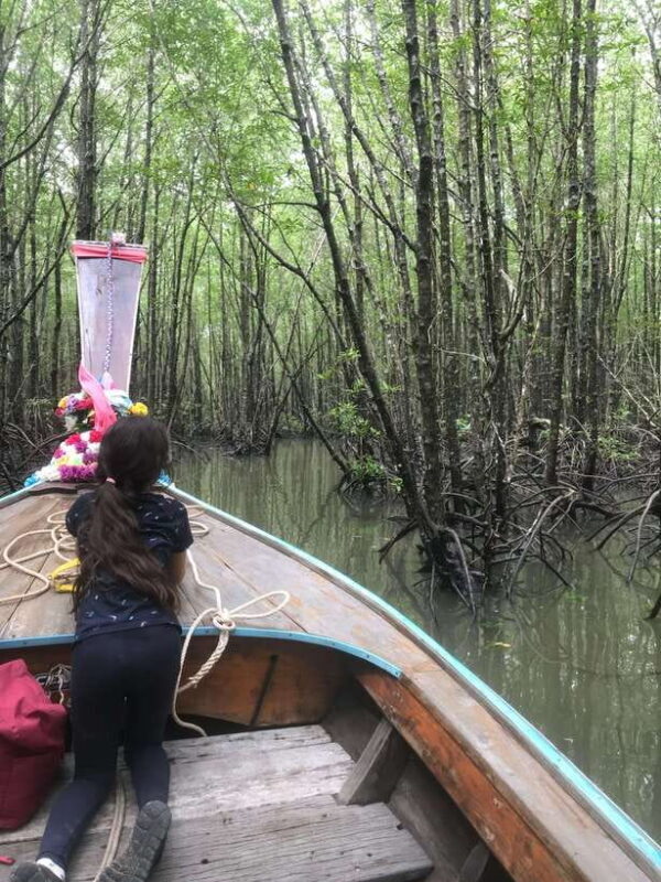 Ko Lanta: EXPLORE MANGROVE TOUR BY LONGTAIL BOAT WITH LUNCH - Exploring Ko Lanta’s Mangroves: A Practical and Authentic Experience