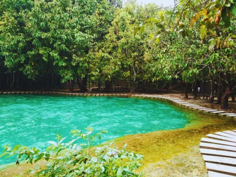 Ko Lanta: Full Day Emerald Pool&Hot Spring With Tiger Temple - An Introduction to the Tour Experience