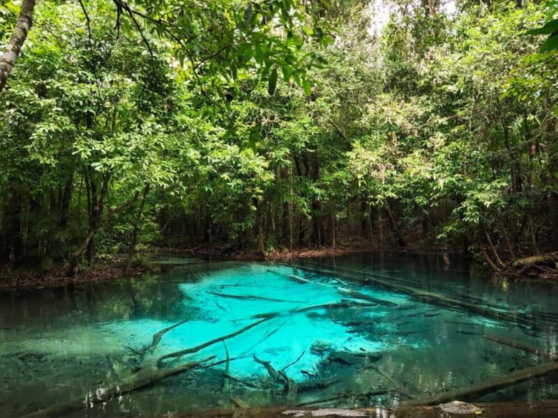 Ko Lanta: Full Day Emerald Pool&Hot Spring With Tiger Temple - Transportation, Duration, and Price Considerations