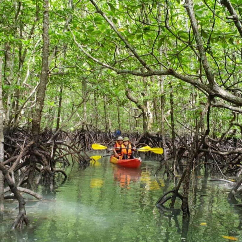 Ko Lanta: HALF DAY EXPLORE MANGROVE KAYAKING TOUR AND LUNCH - An In-Depth Look at the Experience