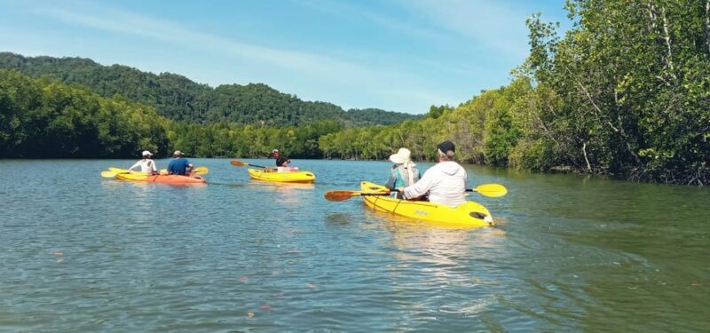 Ko Lanta: Half-Day Mangrove Eco Kayak Experience with Lunch - Why Choose the Koh Lanta Mangrove Kayak Tour?