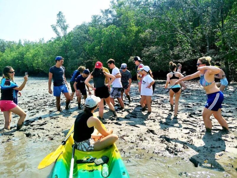 Ko Lanta: Half-Day Mangrove Eco Kayak Experience with Lunch - The Experience and What Travelers Are Saying