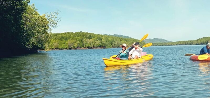 Ko Lanta: Half-Day Mangrove Eco Kayak Experience with Lunch - Practical Tips for Participants