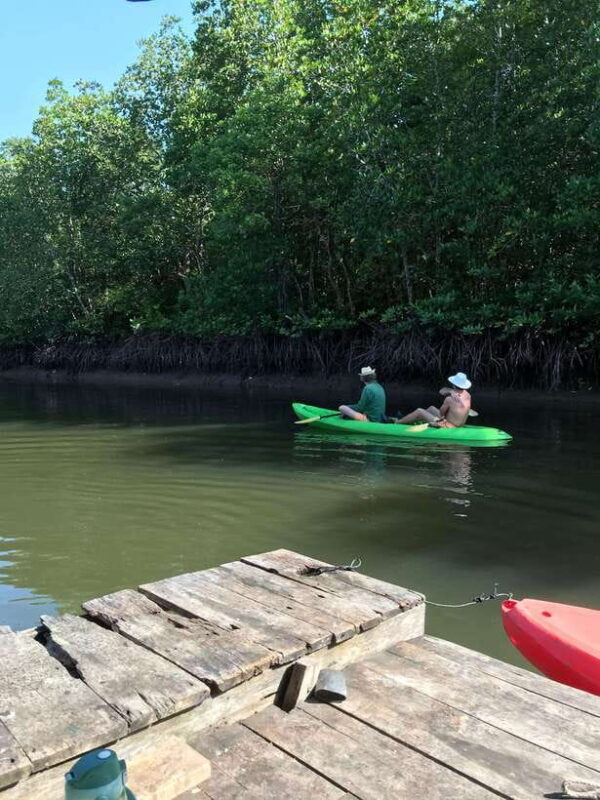 Ko Lanta: Half-Day Mangrove Kayaking Tour with Lunch - Key Points