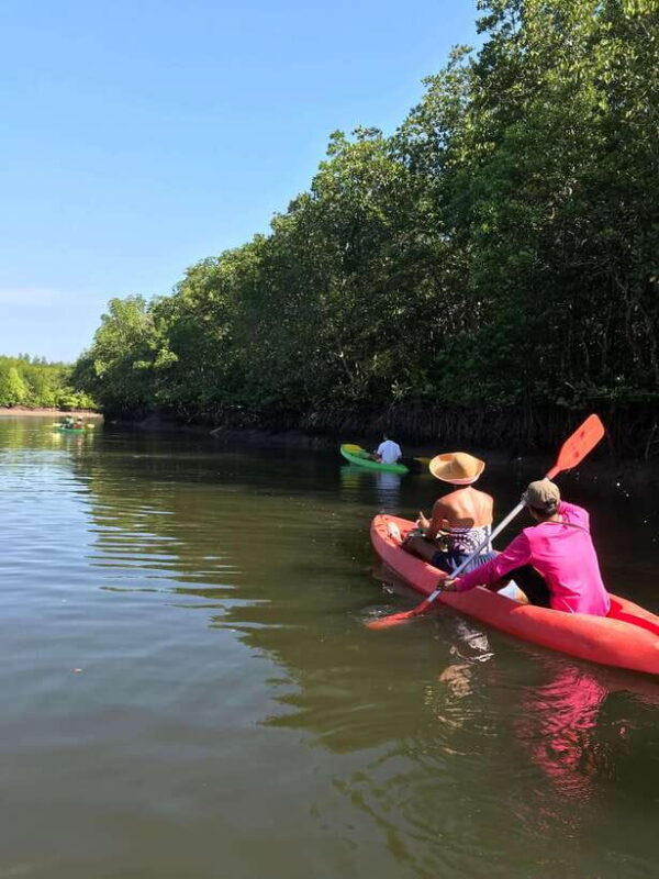 Ko Lanta: Half-Day Mangrove Kayaking Tour with Lunch - A Practical Guide to the Ko Lanta Mangrove Kayaking Tour