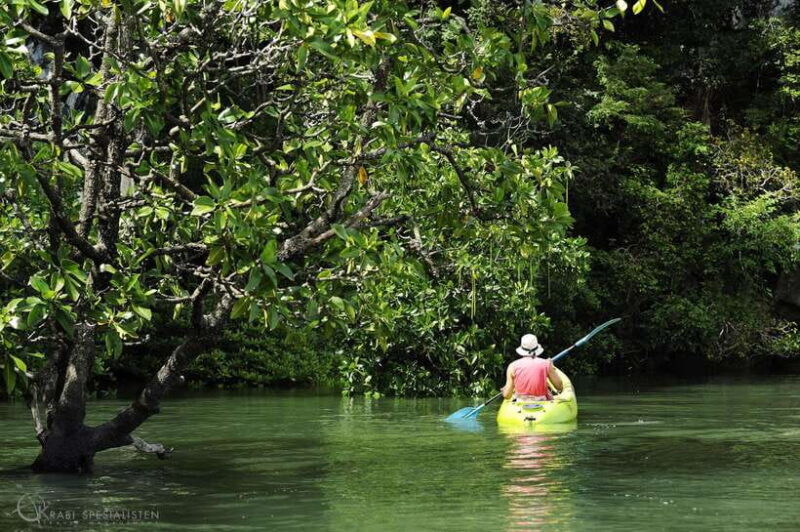 Ko Lanta: Half-Day Mangrove Kayaking Tour with Lunch - The Sum Up