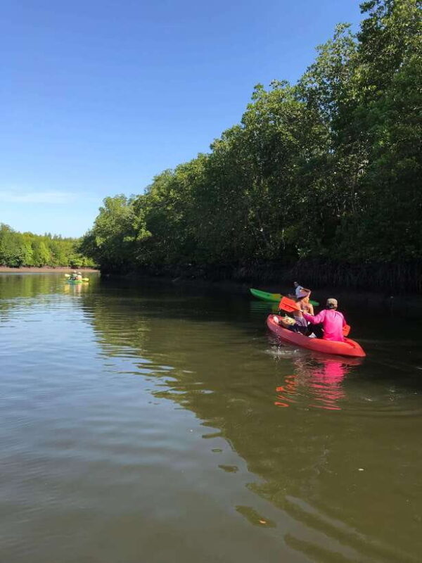 Ko Lanta: Half-Day Mangrove Kayaking Tour with Lunch - FAQ