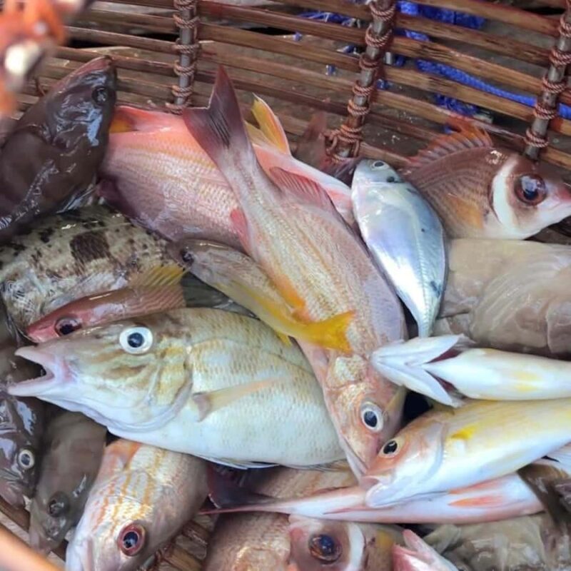 Ko Lanta: Ko Por Village Private Fishing & Kayaking Tour - An Introduction to Your Day on Ko Lanta