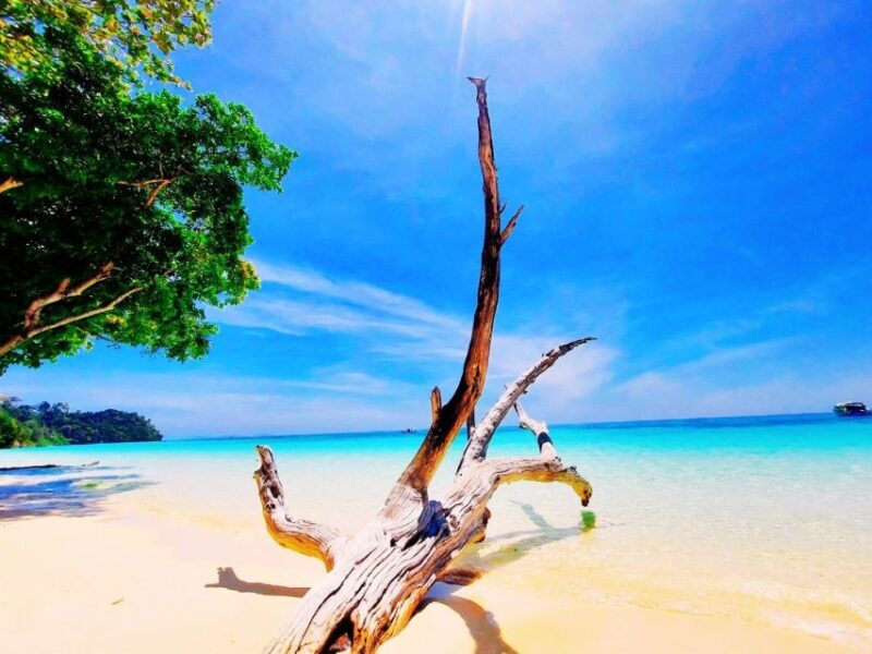 Ko Lanta: Koh Rok & Koh Haa Snorkelling Tour by Speedboat - An In-Depth Review of the Ko Lanta Koh Rok & Koh Haa Snorkelling Tour