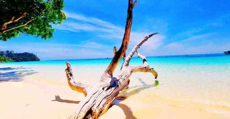 Ko Lanta: Koh Rok & Koh Haa Snorkelling Tour by Speedboat - Final Thoughts — Is It Worth It?