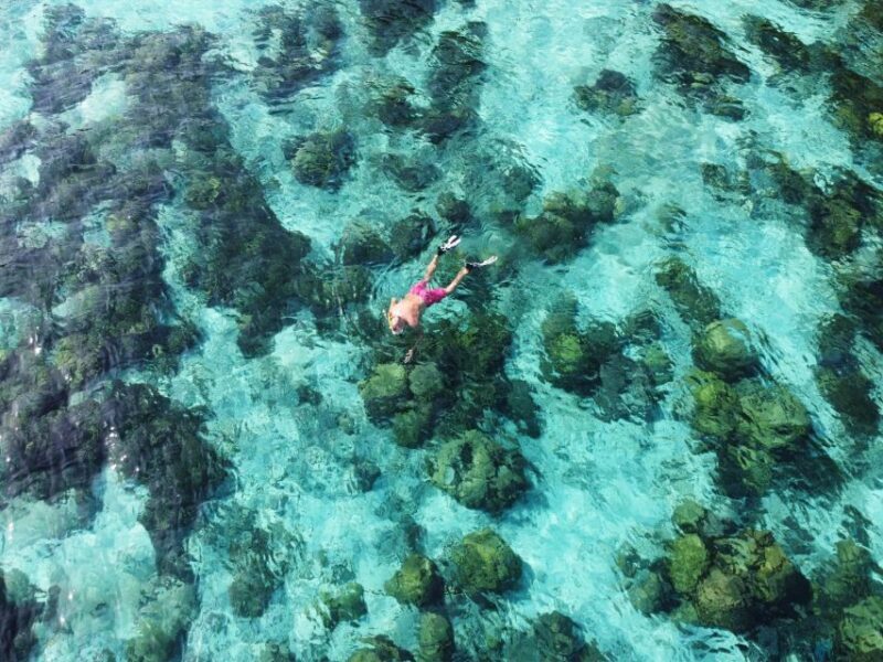 Ko Lanta: Koh Rok & Koh Haa Snorkelling Tour by Speedboat - FAQ