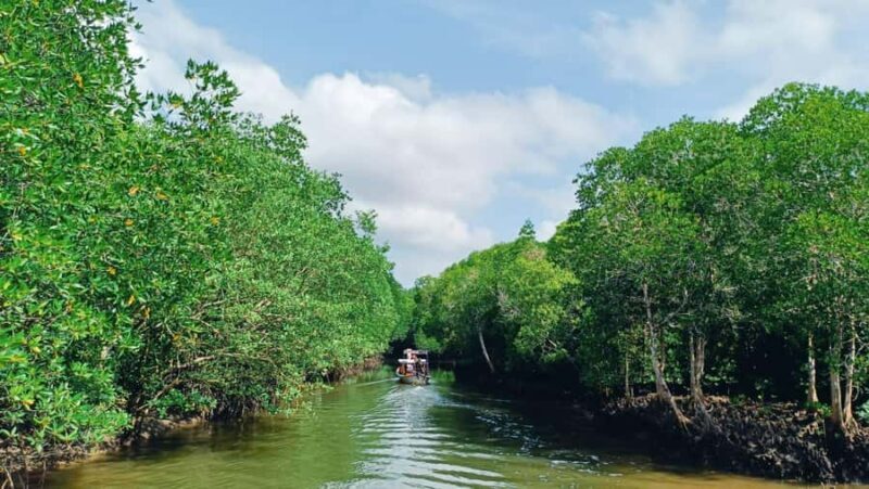 Ko Lanta: Mangrove boat trip + Local village with lunch - The Sum Up