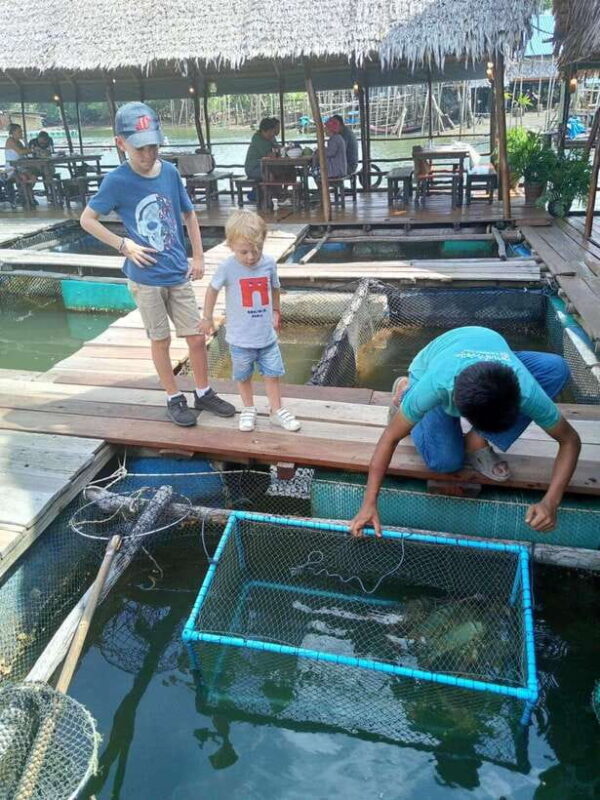 Ko Lanta: Mangrove Forest and Lanta Old Town with Lunch - The Sum Up